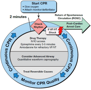 How to achieve Q-CPR | Greater Sydney Area HEMS